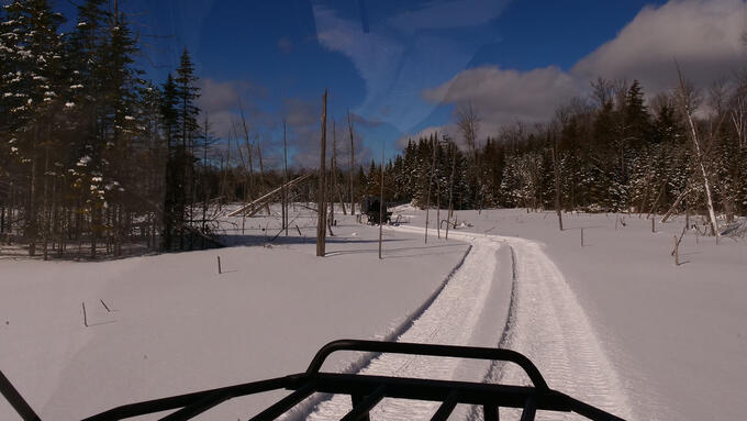 Immerse in Tradition: A 3-Day Authentic Indigenous Trapping Experience ...