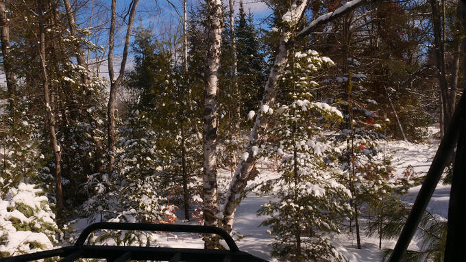 Immerse in Tradition: A 3-Day Authentic Indigenous Trapping Experience ...