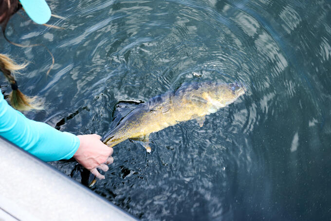 A Multi-Species Fishing Adventure on Sharbot Lake | Come Wander
