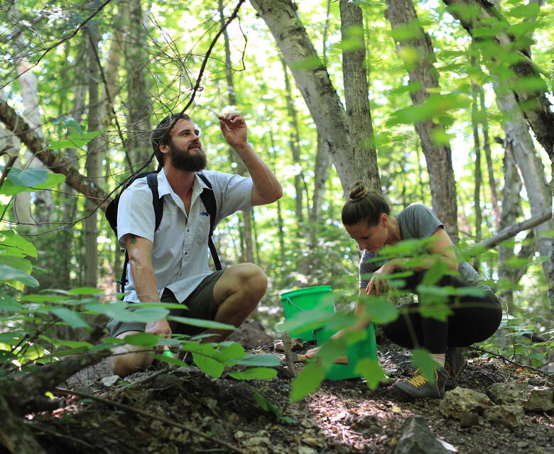 Find Hidden Gems: Rockhounding for Beginners | Come Wander