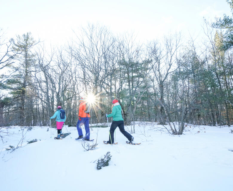 Warm Up with Winter Festivals and Events | Come Wander